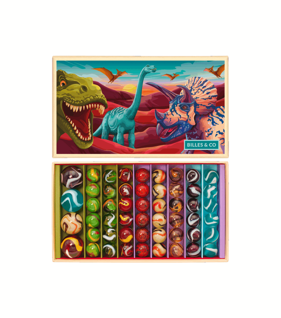 Box Dinosaurs - Billes & Co.